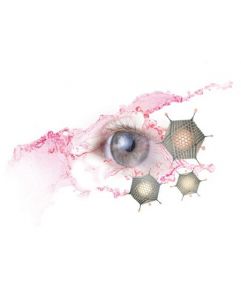 AdenoPlus Test Kit, Point of Care Testing for Acute Conjunctiviti